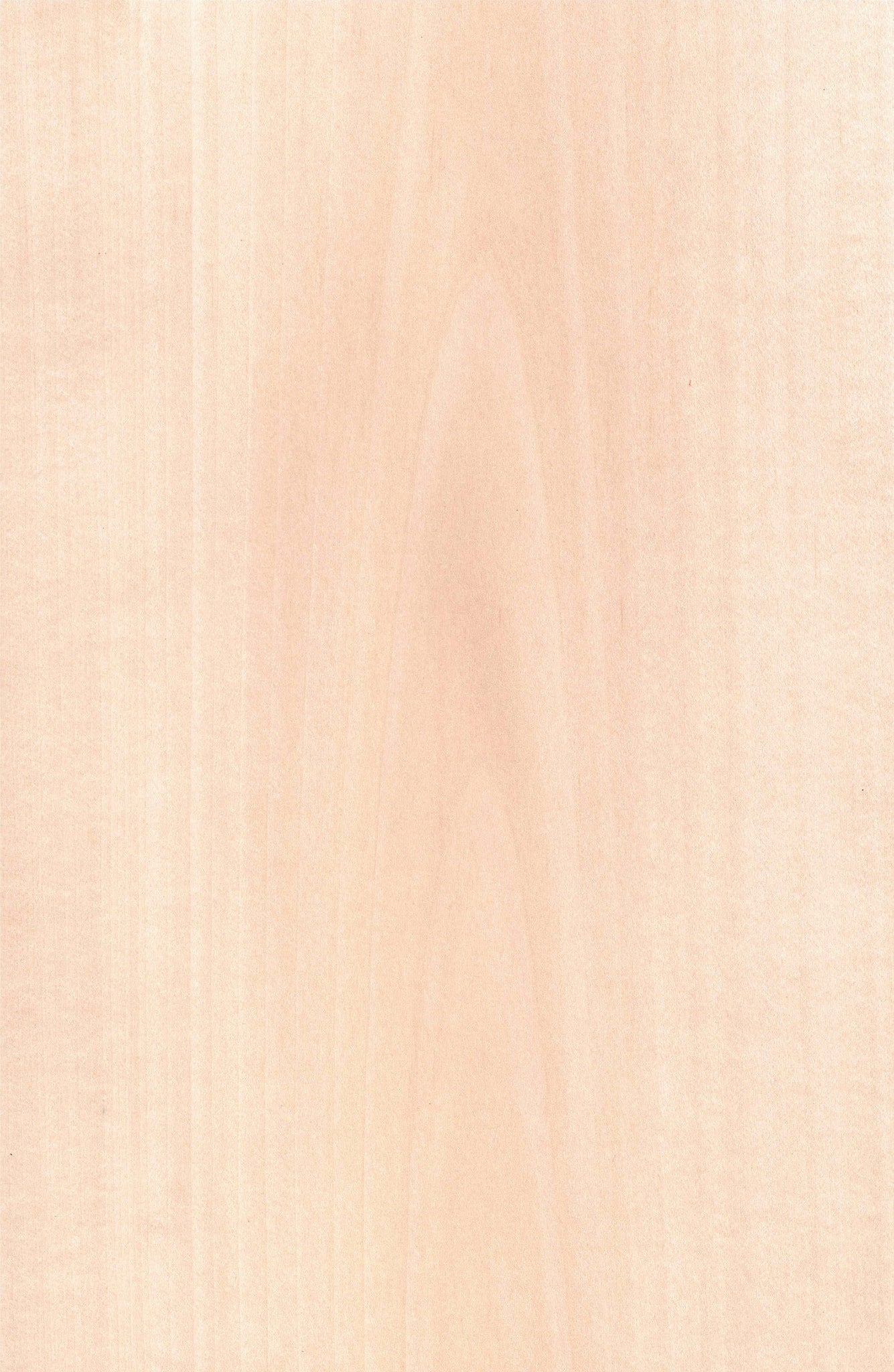 WOOD VENEER SHEET basswood 900mm×1800mm – MORIKOUGEI ONLINE STORE