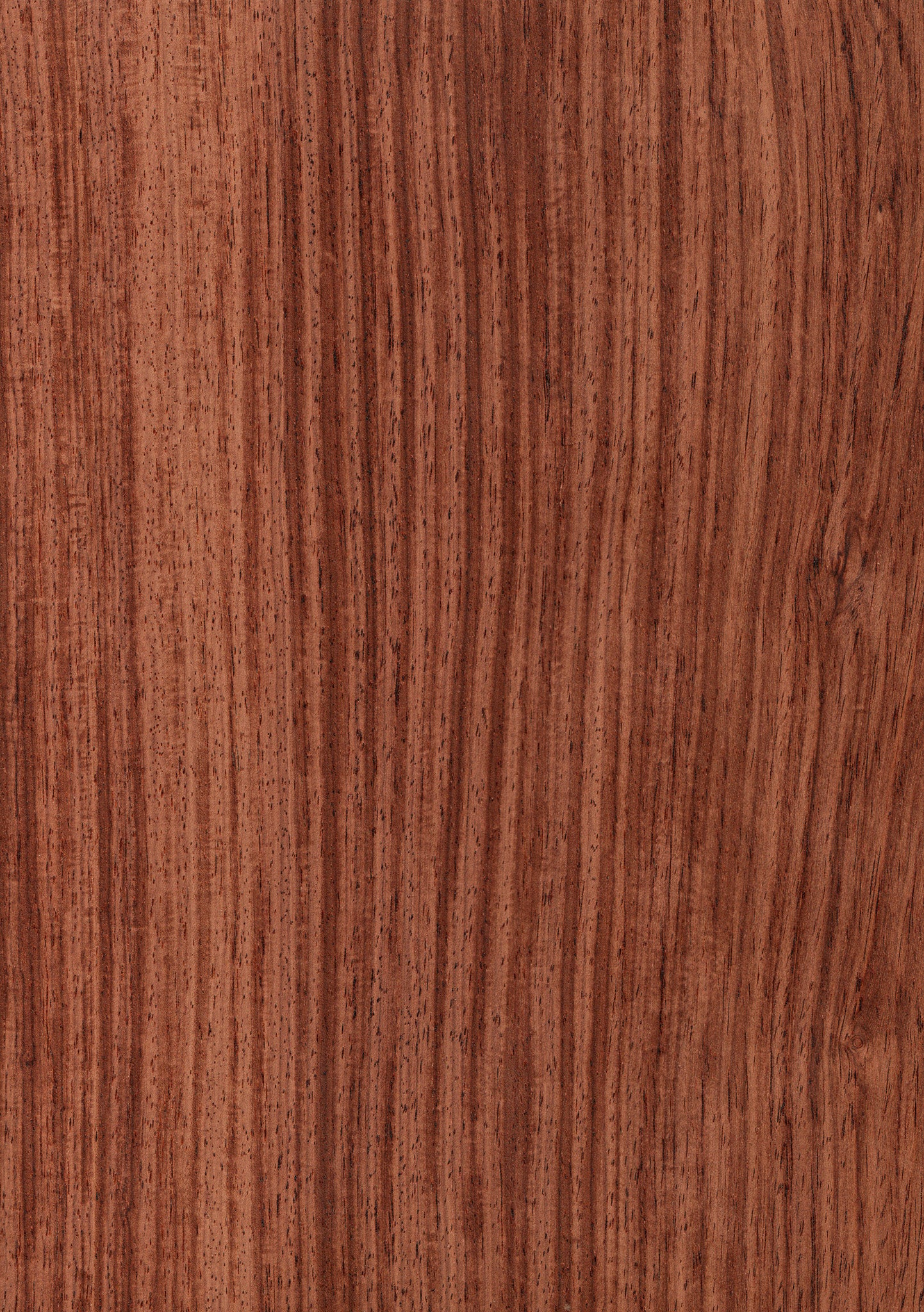 Wood veneer sheet Rose wood Brown900mm×1800mm – MORIKOUGEI ONLINE STORE