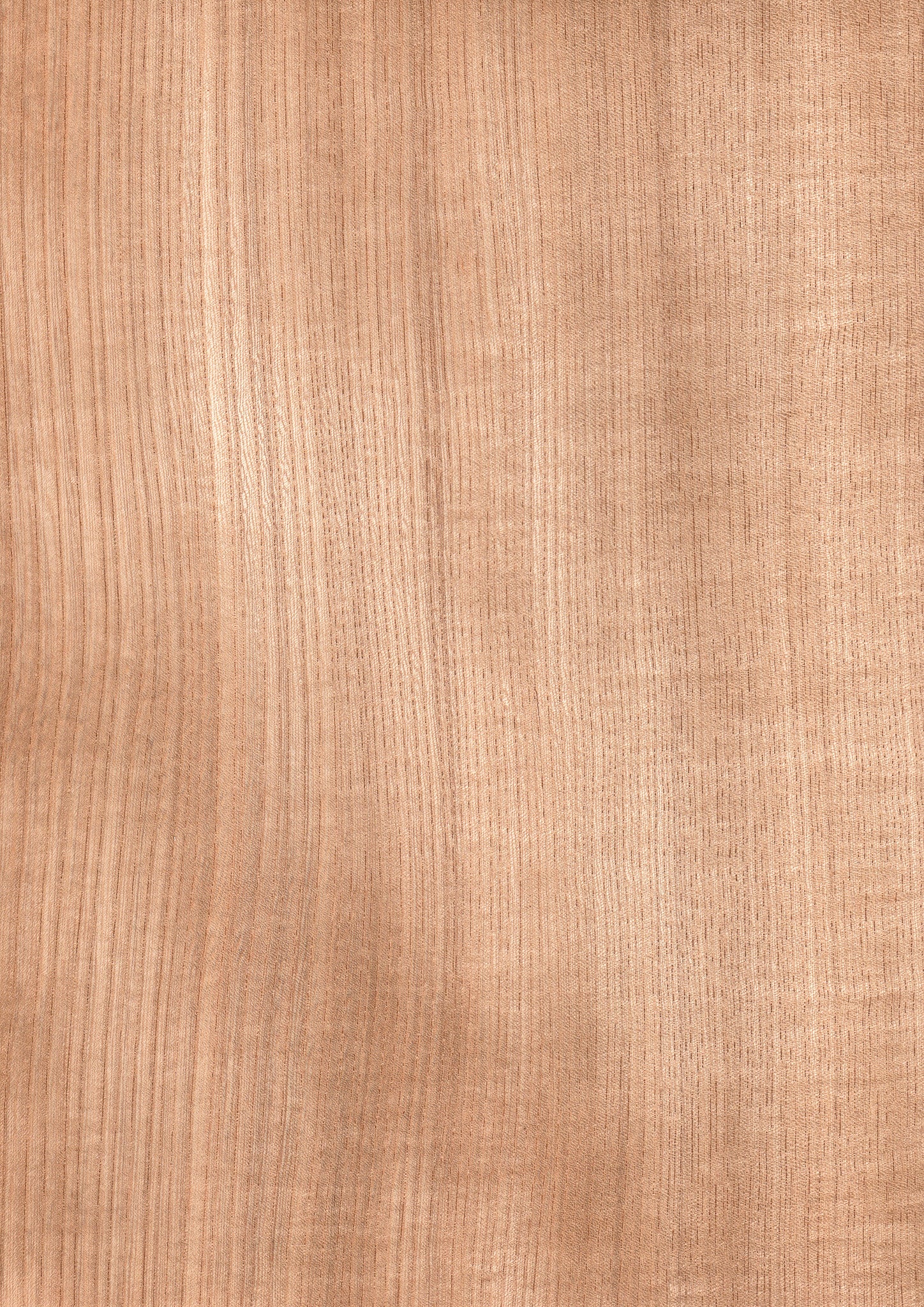 wood veneer sheet castor aralia light color 900mm×1800mm – MORIKOUGEI ...