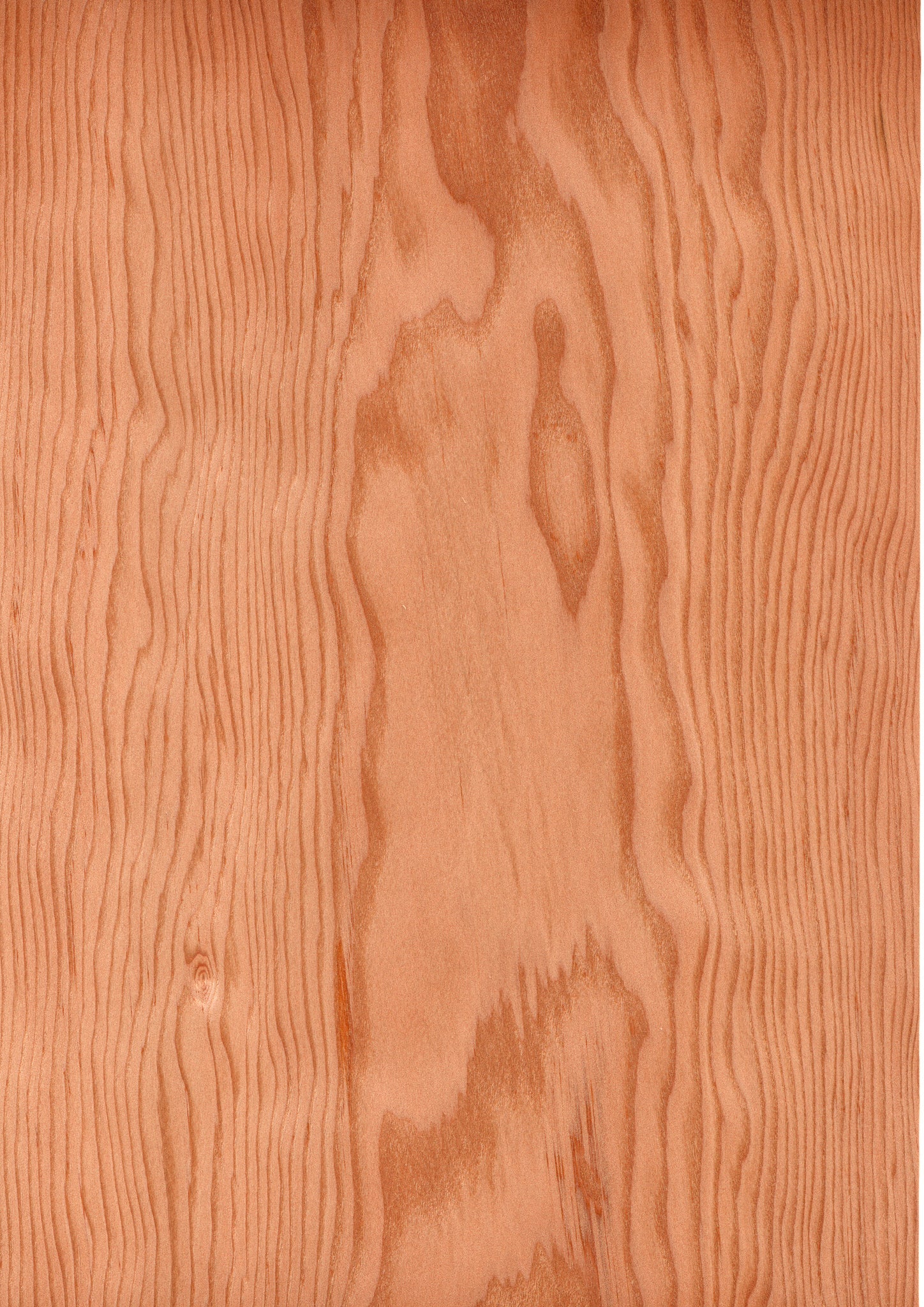 wood veneer sheet Douglas fir light color – MORIKOUGEI ONLINE STORE